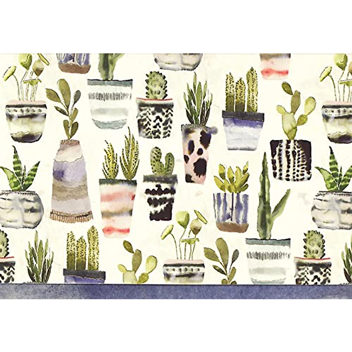 Watercolor Succulents Note Cards (Stationery, Boxed Cards)