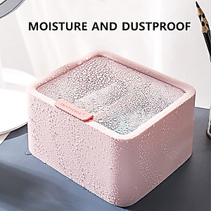 LiangTing 2 Grids Separate Cotton Swabs Dispenser Organizer Canisters,Transparent dust-proof desktop cotton swab box with cover,Dresser makeup remover cotton storage box for Cotton Balls, Cotton Pads.