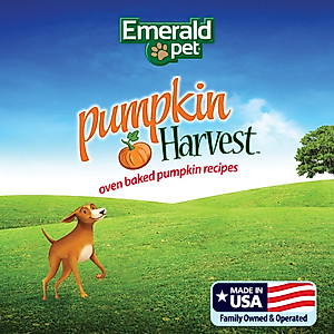 Emerald Pet Pumpkin Mini Trainers Dog Treats, 6 oz - Support Healthy Digestion, Allergen-Friendly, Vegetarian, Low-Fat, Grain Free, Made in USA