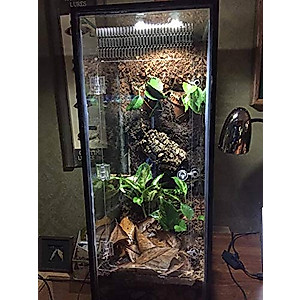 20 Gallon Long Aquarium Gecko/Arboreal Conversion Kit