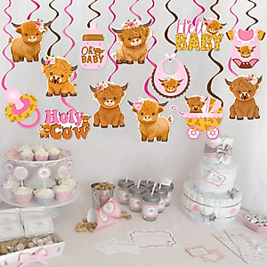 Highland Cow Baby Shower Hanging Swirls Holy Cow Baby Shower Decorations 20Pcs Highland Cattle Birthday Party Ceiling Hanging Decor Cow Party Streamers for Farm Animals Party Supplies