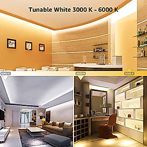 Lepro LED Strip Light, 3000K-6000K Tunable White, 32.8ft Dimmable Super Bright LED Tape Lights, 600 LEDs SMD 2835, Strong 3M Adhesive, Suitable for Home, Kitchen, Under Cabinet, Bedroom