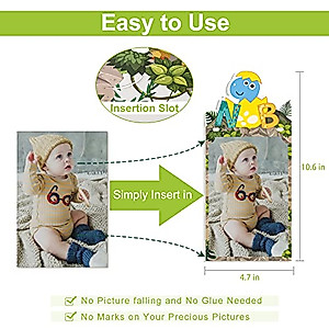 Dinosaur First Birthday Decorations, 1st Birthday Photo Banner for From Newborn to 12 Months Baby, Wild One Birthday Decorations, Monthly Milestone Photo Booth Props for Safari Dino Birthday Decor