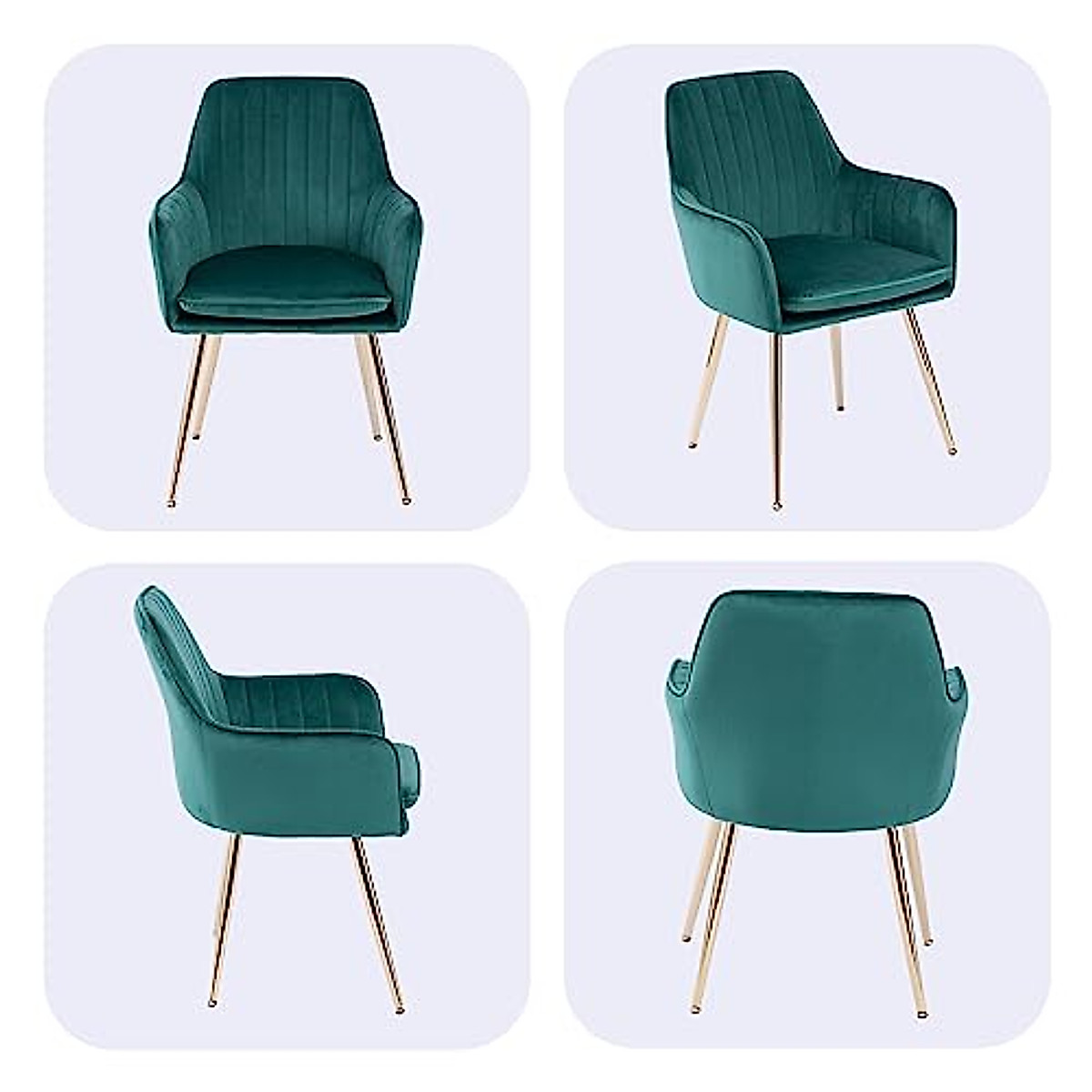 Purgreen Velvet Dining Chair Set of 2 - Modern Mid-Back Accent Chair with Gold Plating Legs - Upholstered Living Room Chair (Velvet Green, Set of 2)