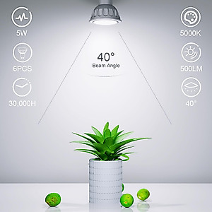 WOWLUMEN GU10 LED Light Bulbs, MR16 GU10 Base Bulb Replacement for Recessed Track Lighting, 5000K Daylight 5W 500LM 40° Spotlight for Kitchen, Range Hood, Living Room, Bedroom,6 Pack