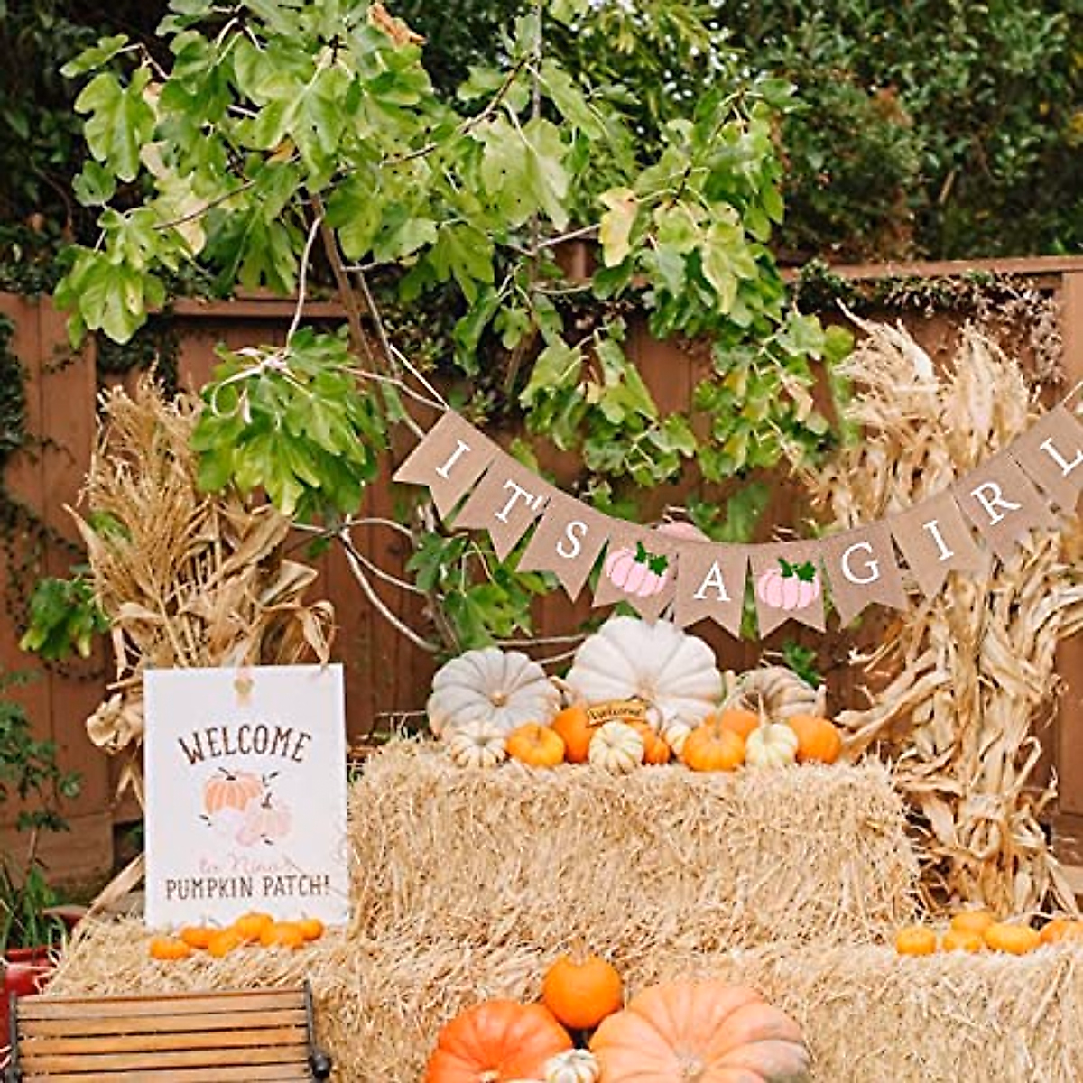 Gankbite Pumpkin It's A Girl Burlap Banner Pink Fall Baby Shower Garland Little Pumpkin Theme Decoration