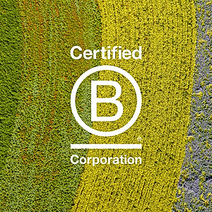 Davines NOUNOU Shampoo | Hydrating Deep Shampoo for Bleached, Permed, Relaxed, Damaged Hair or Very Dry Hair | Replenishes Chemically Processed Hair | 8.45 fl oz (Pack of 1)