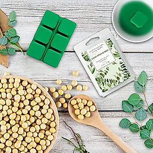 LA BELLEFÉE Wax Melts Gift Set 8 +1 Pack