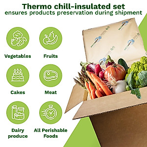IDL Packaging 14" x 14" x 14" Insulated Shipping Box, 5.8-Gallon Capacity, Pack of 3 - Includes EcoMax™ Thermal-Paper Liners, Absorb Condensation - For Frozen Food, Meat, or Fish