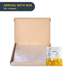 wisedry [100 Packs] 1-Gallon Mylar Bags (4 Mil, 15''x10'') with 300cc Oxygen Absorbers Packets for Dehydrated Vegetables, Grains, Legumes and Emergency Long Term Food Storage, Food Grade