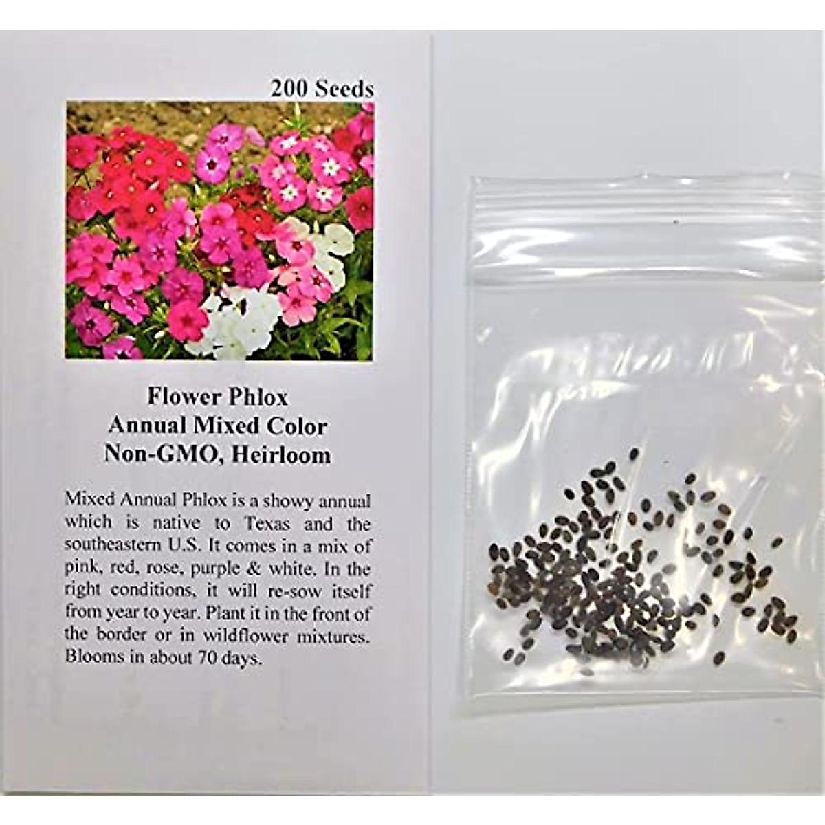 David's Garden Seeds Flower Phlox Annual Mixed Color (Multi) 200 Non-GMO, Heirloom Seeds