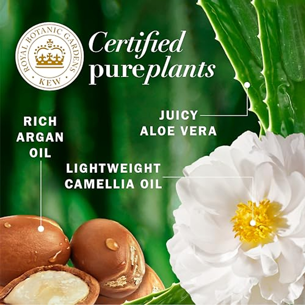 Herbal Essences bio:renew Argan Oil Of Morocco Repairing Color-Safe Conditioner 13.5 fl oz