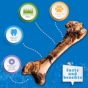 Jack&Pup Mammoth Large Dog Bone | 16" Marrow Dog Bones for Aggressive Chewers | Single Ingredient Long Lasting Chew Bones (1 Pack)