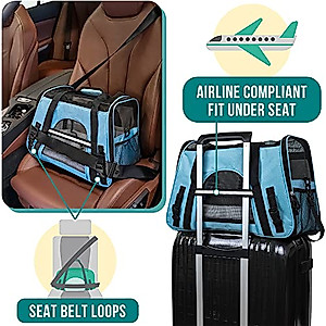 PetAmi Premium Airline Approved Soft-Sided Pet Travel Carrier | Ideal for Small - Medium Sized Cats, Dogs, and Pets | Ventilated, Comfortable Design with Safety Features (Large, Baby Blue)