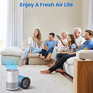 MESTICA Replacement Filter, Compatible with TOPPIN TPAP002 HEPA Air Purifier Comfy Air C1, Compare Part # TPFF002 (Pack of 2)