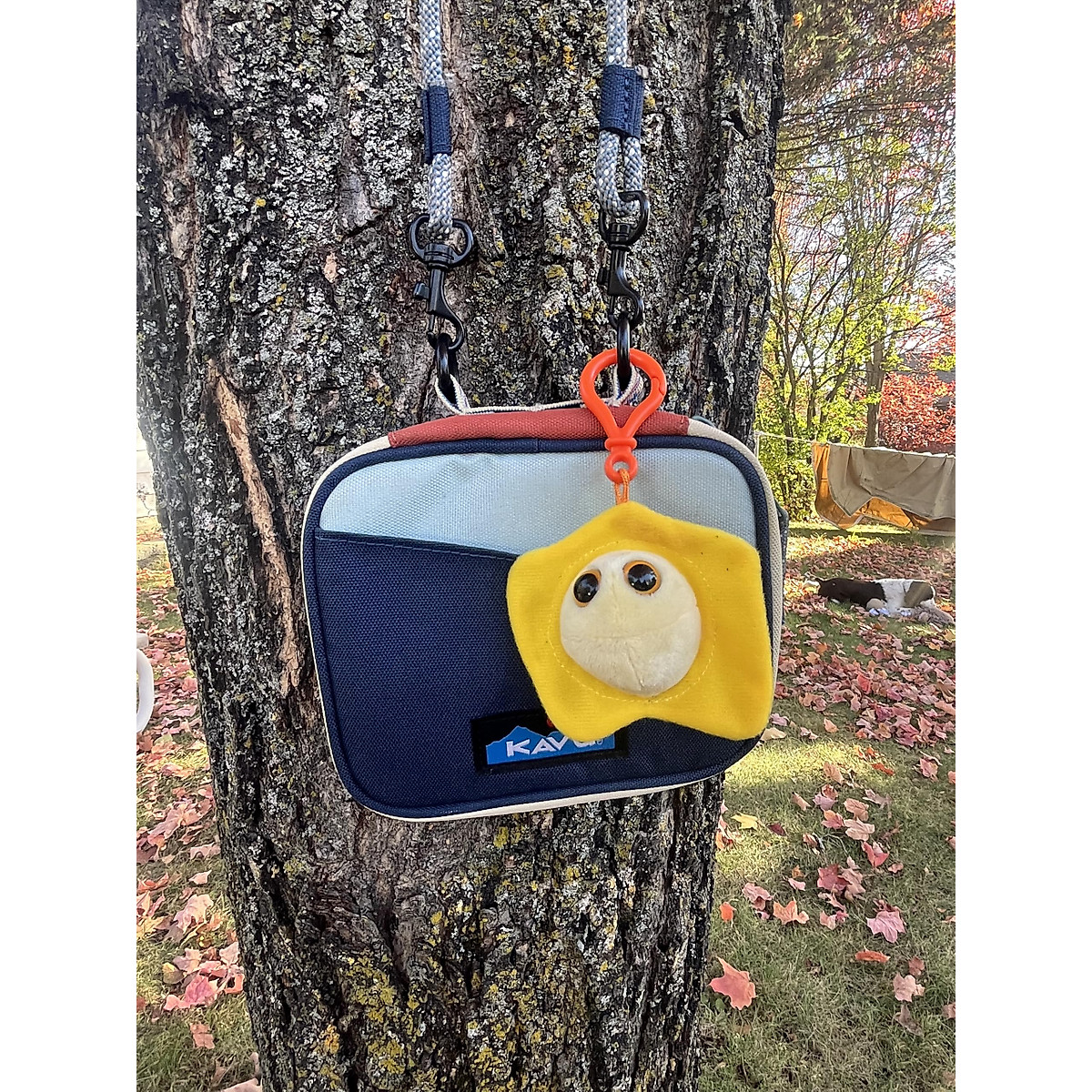 GIANTmicrobes Tainted Love Themed Gift Box - Learn About Health with This 5-Piece Box Set of 3” STIs, Unique Gift for Students, Educators, OBGYNs, and Anyone with a Healthy Sense of Humor