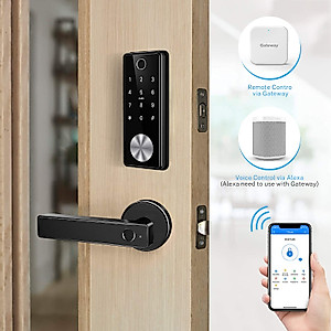 Tiffane Fingerprint Door Lock, Smart Door Lock, Keyless Entry Door Lock, Smart Locks for Front Door, Biometric Door Lock, Smart Door Knob, Bluetooth WiFi Door Lock Security for Smart Home(Black)