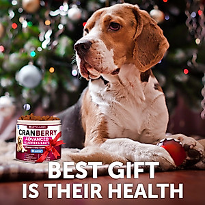 Dog UTI Treatment - Cranberry Supplement for Dogs - Bladder Control for Dogs - Dog Urinary Tract Infection Treatment - UTI Medicine for Dogs - Dog Cranberry Supplement - Kidney Support - 120 Chews