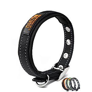 Mighty Paw Dog Collar - Padded Comfort - Neoprene Lining - High Visibility Reflective Threading - Weatherproof Nylon - Buckle Adjustable Dog Collar - Comfortable Dog Collar for All Dog Breeds