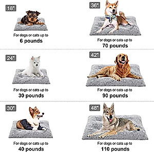 Cozyide Orthopedic Dog Beds for Small Dogs, Non-Slip Pet Bed with Soft Plush, Machine Washable Dog Bed for Crate (18" L x 12" W x 2" Th, Grey)