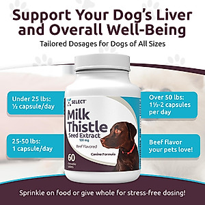 K9 Select Milk Thistle for Dogs, 100mg - 60 Beef Flavored Tablets - Canine Liver Health Natural Milk Thistle Supplement - Liver Supplement - Liver Support Supplement - Milk Thistle Herbal Supplements