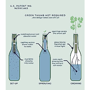 Herb Garden Kit Indoor - Grow Fresh Herbs Plants Hydroponically Indoors with this unique Window Garden Kit - Bottle Stopper Gardening Kit - Kitchen Windowsill Planter Grow Live Herbs At Home from Seed