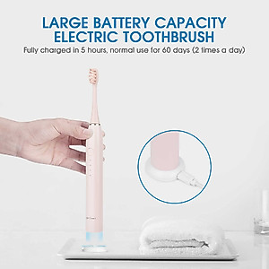 NC Sonic Electric Toothbrush, Goodoral Powerful Cleaning Rechargeable Waterproof Toothbrushes with 2 Brush Heads for Adults and Kids(Pink)