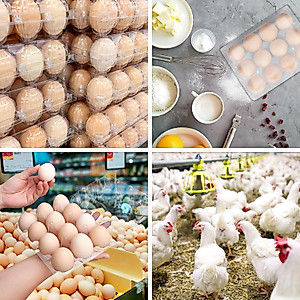 KUKLIPJIM 100 Pack Bulk Egg Cartons, Clear Plastic Chicken Egg Holders, Egg Tray Carton Holder for Home & Kitchen, Farm & Market Use, An Eco-Friendly Egg Storage Solution, 12 Grids(Medium Size)