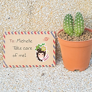 Navy Peony Lovable Cactus and Succulent Stickers (25pcs) - Waterproof, Child Proof House Plant Quote Stickers for Kids Craft, Laptop, Party Favors