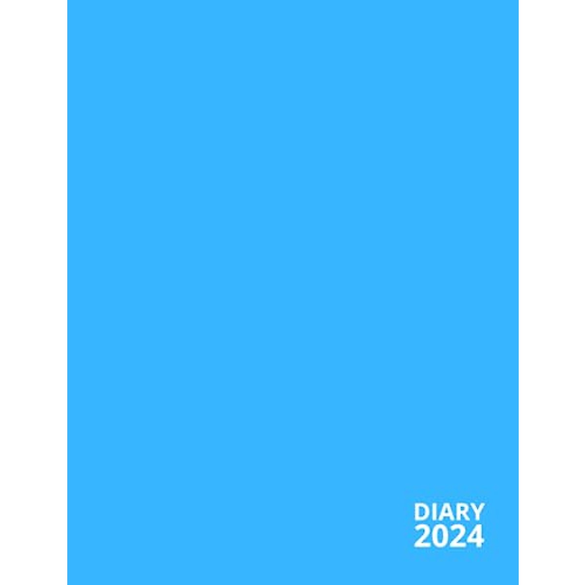daily diary 2024: AT-A-GLANCE Fine Diary 2024 Weekly & Monthly Diary,2024 Large and simple Daily Planner