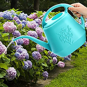 Fasmov 1-Gallon Plastic Watering Can with Comfortable Handle, Garden Watering Cans Long Spout for Indoor Outdoor Watering Plants, Bright Blue