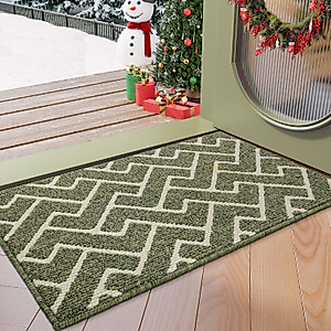 hicorfe Indoor Doormat,Front Back Door Mat Rubber Backing Non Slip Door Mats,20"x31.5" Low-Profile Absorbent Resist Dirt Entryway Doormat Inside Floor Mats for Entrance Washable(Green)