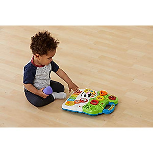 VTech Sit-to-Stand Learning Walker , Orange