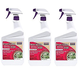 Bonide Products INC 912102 652 Ready-to-Use Insect Soap, Quart, 3 Pack