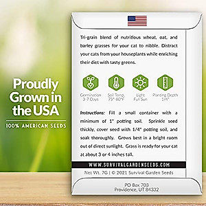Survival Garden Seeds - Cat Grass Seed for Planting - Packet with Instructions to Plant and Grow Greens for Your Pet Indoors or Outdoors in a Container or Garden - Non-GMO Heirloom Variety