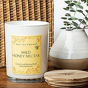 Red Leaf Home | Wild Honey Nectar Candle, Medium | Honeycomb Collection, Aromatherapy, Gift | 11oz Jar