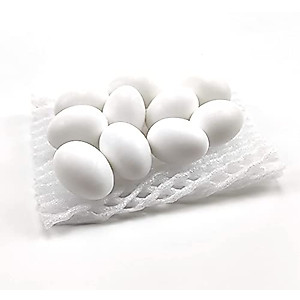 10 Pieces of Pigeon Eggs Simulation of Solid Plastic Pigeon Eggs for Pigeon Hatching Help Laying Pigeon Agricultural Tool Poultry