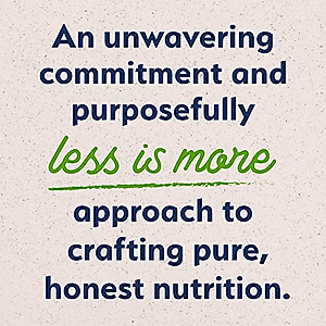 Natural Balance Limited Ingredient Adult Wet Canned Dog Food with Vegan Plant Based Protein and Healthy Grains, Vegetarian Recipe, 13 Ounce (Pack of 12)