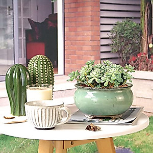Summer Impressions 7 Inch Glazed Terracotta Plant Pot Round Ceramic Succulent Planter Pot with Drainage and Saucer Cactus Clay Pot Bonsai Pot