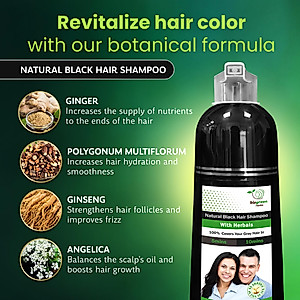 Ammonia-Free Herbal Hair Shampoo - Effectively Covers Gray Hair for Men and Women - Natural Color and Herbal Nourishment - No Stain on Skin - Natural Black (400 ml)