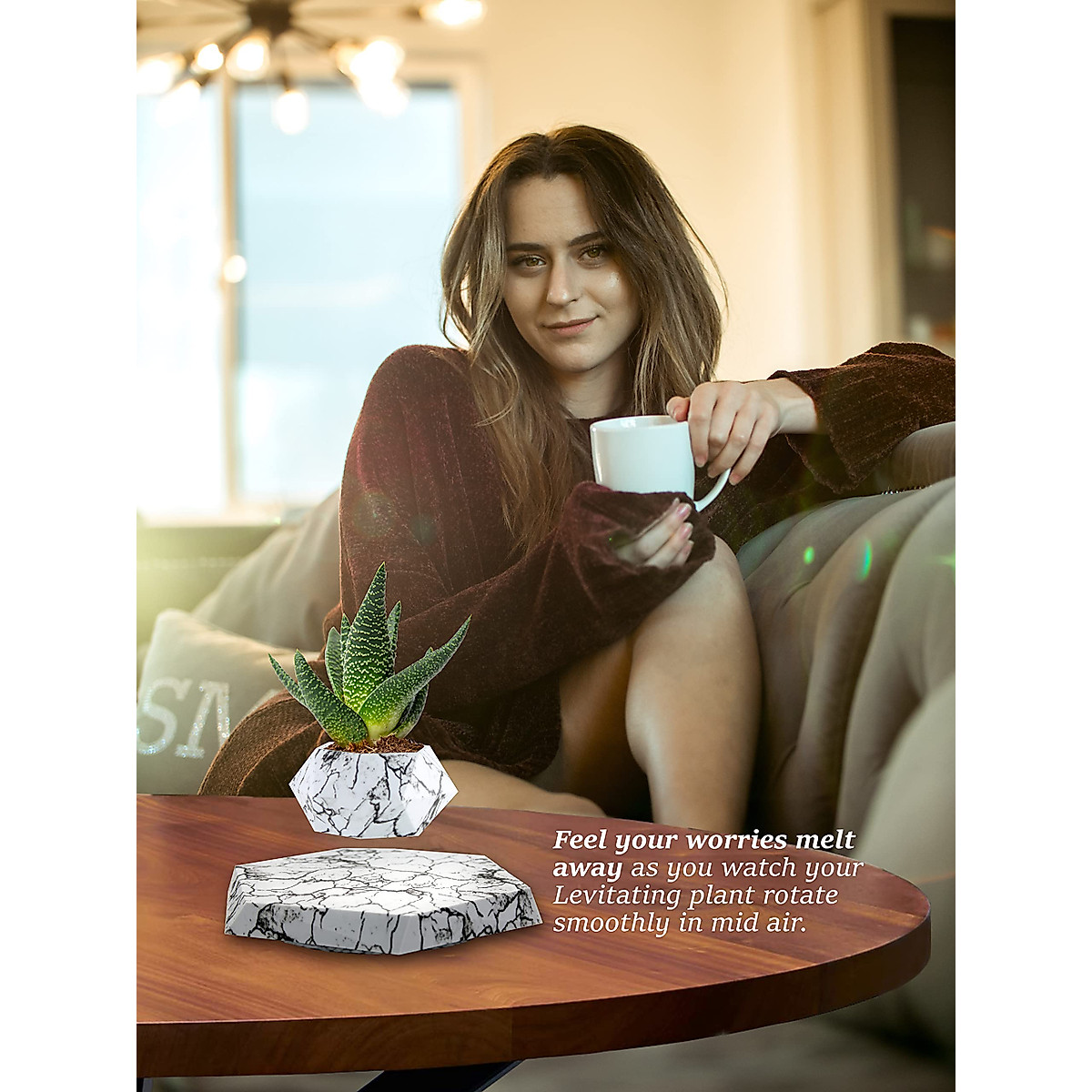 BandD Plant Pot for Succulents, air Bonsai & air Plants. Planter for Home, Office & Desk Decor. Magnetic Floating Levitating Display. (Marble)