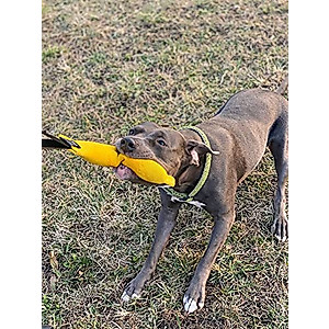 K9BULLS Dog Tug Toy for Interactive Tug of War - Tear Resistant French Linen - Super Durable Yet Soft for Dog's Teeth. Perect for :Tug of War, Schutzhund,Agility,Ring Sport,PoliceK9,and More. -Green-