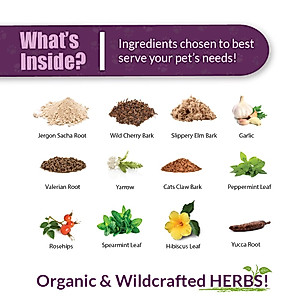 Amber NaturalZ - ADIZONE - Aches & Discomforts - for Dogz - 4 Ounce