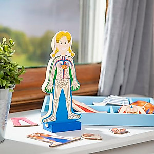 Melissa &amp; Doug Magnetic Human Body Anatomy Play Set With 24 Magnetic Pieces and Storage Tray