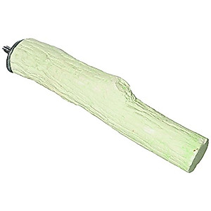 Polly's Eco-Perch for Pet Birds, Medium