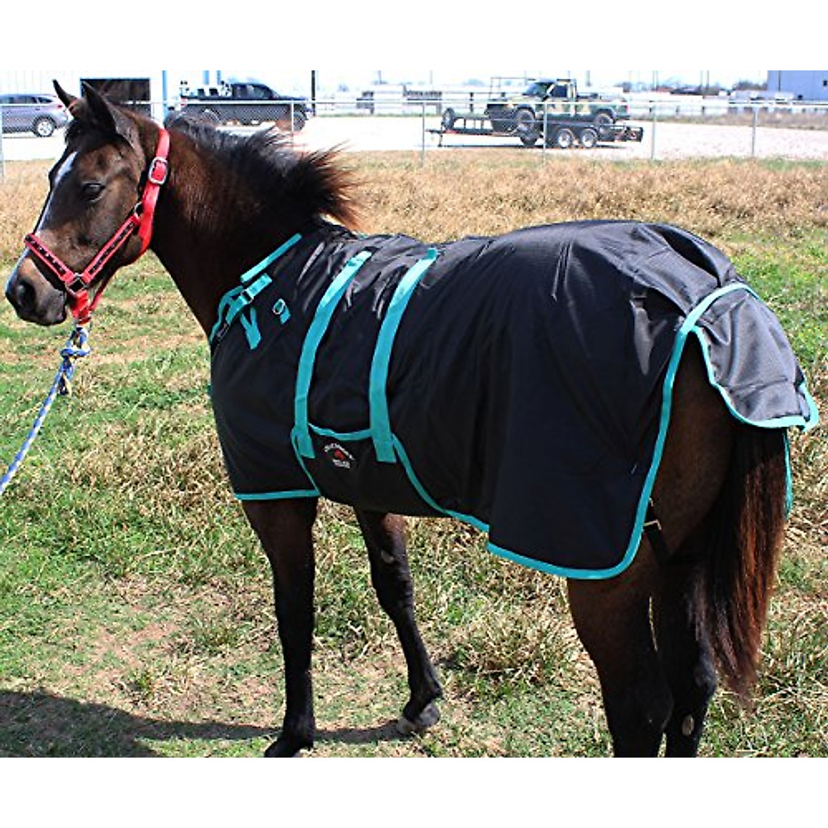 CHALLENGER 60" 1200D Miniature Weanling Donkey Pony Horse Foal Winter Blanket Teal 51945