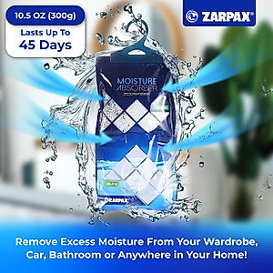 ZARPAX Hanging Moisture Absorber Activated Charcoal 10.6 oz/300g | Moisture Absorbing Bags for Bathroom, Closet & Kitchen | Removes Moisture, Humidity & Odors | Portable Dehumidifier | Set Of 10