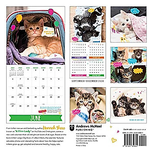 Kitten Lady's Big Year of Little Kittens 2021 Wall Calendar