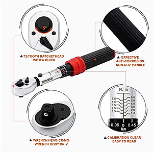 Inwell 1/4 Inch Drive Torque Wrench, 10-50 in./lbs. (1-6 Nm), Chrome Vanadium Steel, Includes Protective Case