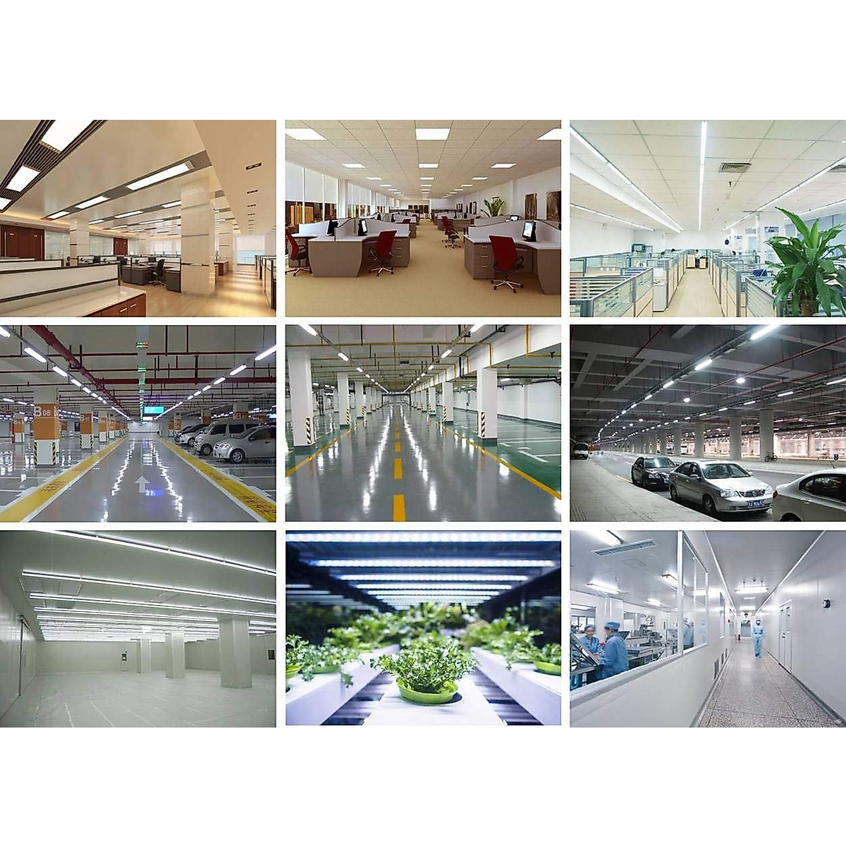 T8 LED Replacement, HouLight 25-Pack, 18W 4-Foot T8 LED Light Tube, 6000K, Daylight, Transparent Cover, Super Bright White, Double End Power